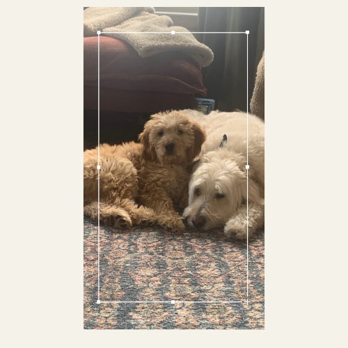 m.connolly counseling Individual, couple, and family counseling in ...