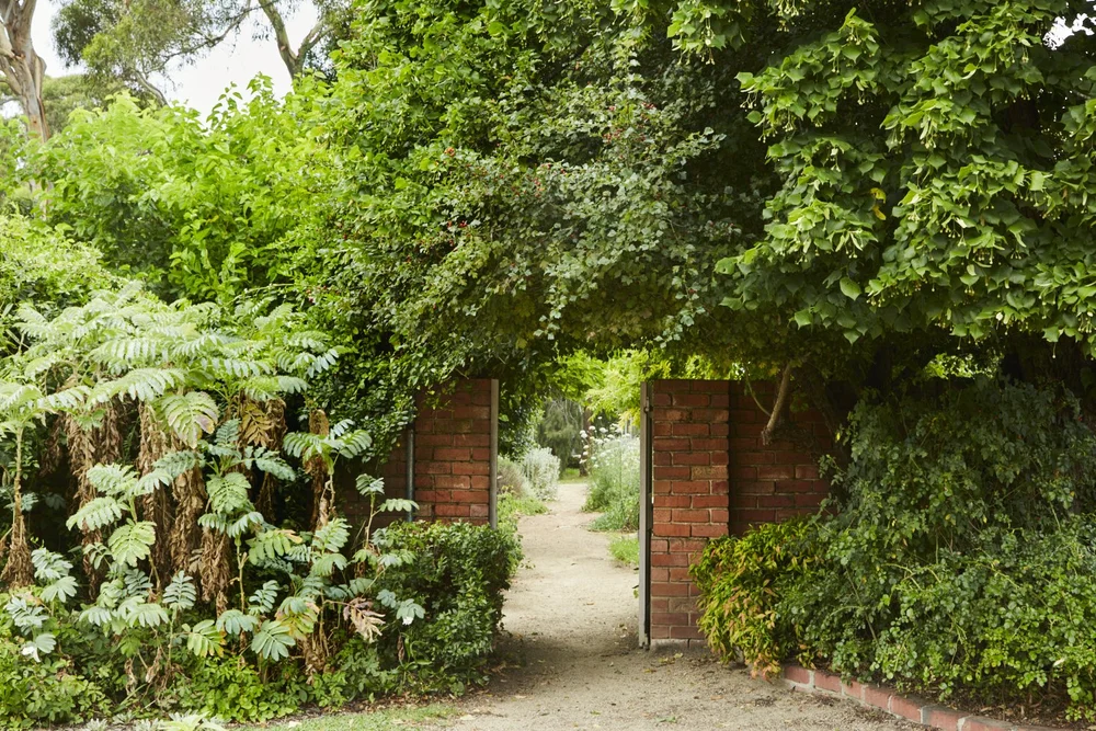 Gardens — Kirsten Brescaini Photography
