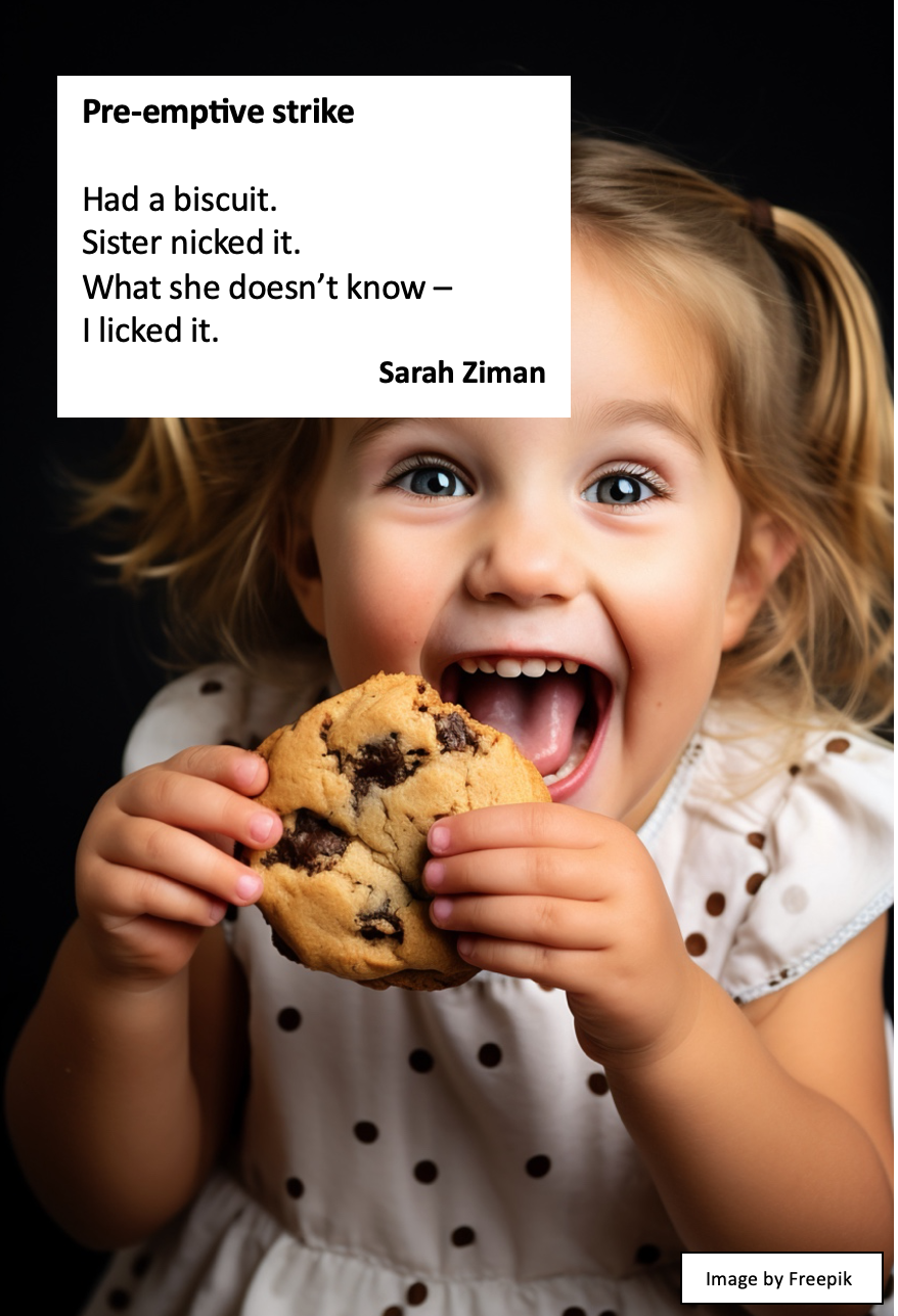 General 2 — Sarah Ziman - Poet