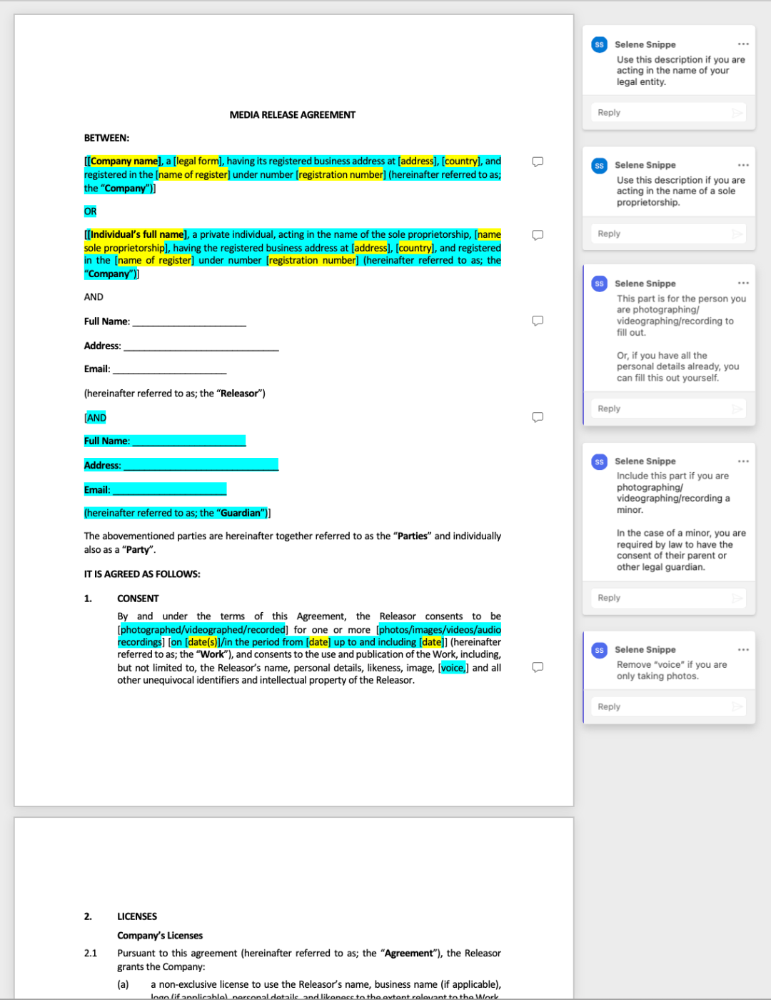 Media Release Form — Selene the Lawyer