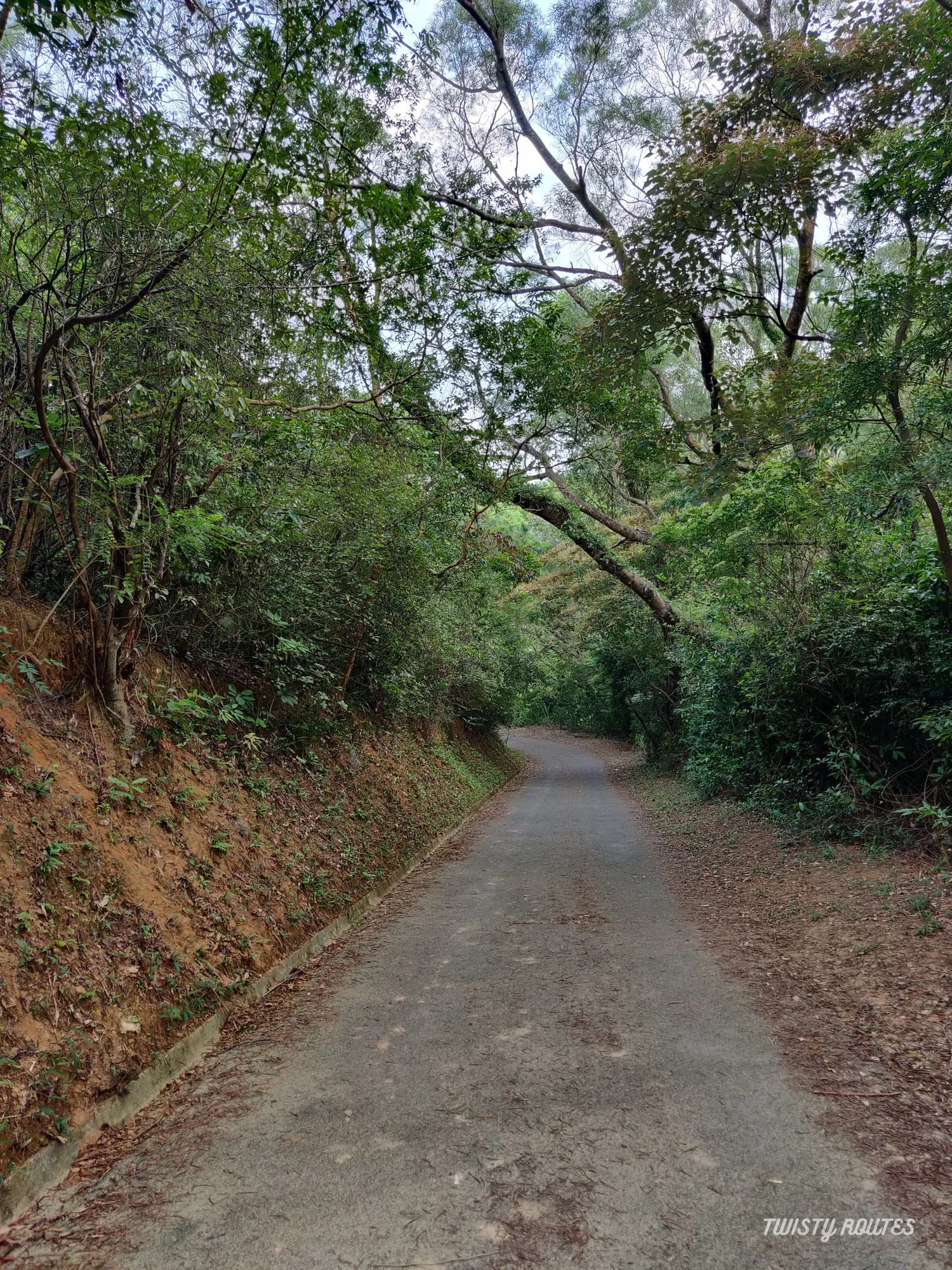 Ho Pui Reservoir and Family Walk — Twisty Routes | Travel blogs, videos ...