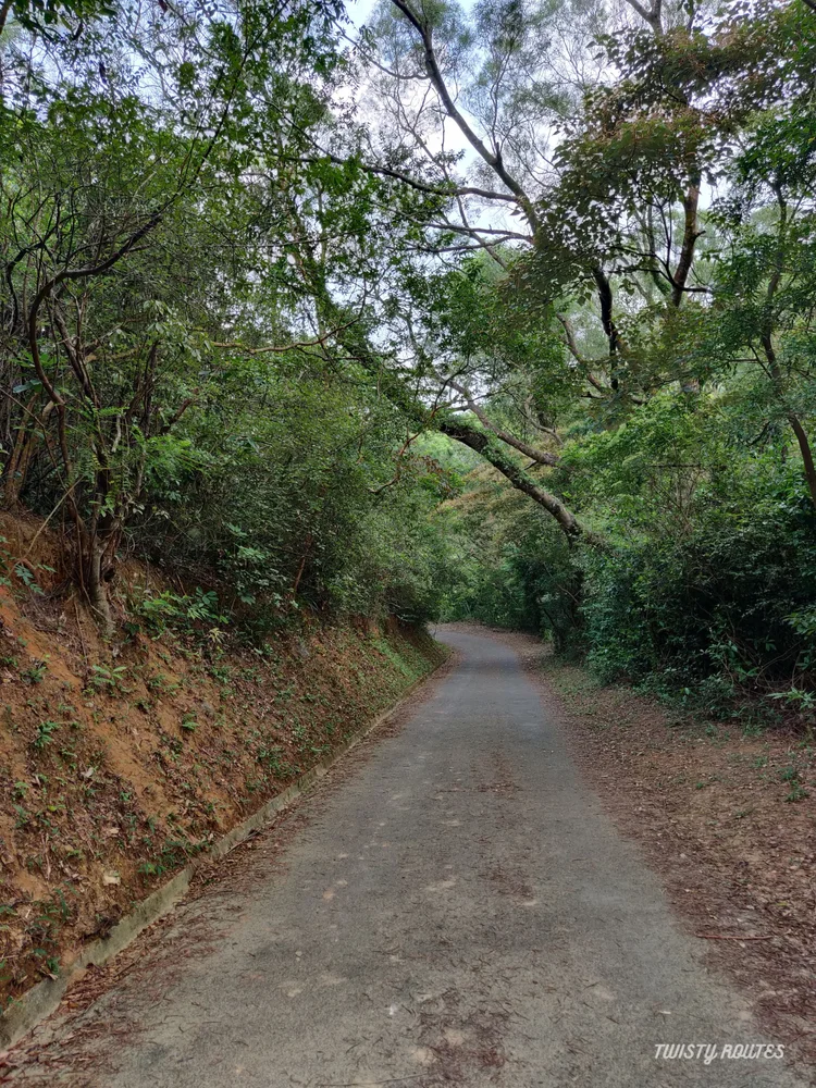 Ho Pui Reservoir and Family Walk — Twisty Routes | Travel blogs, videos ...