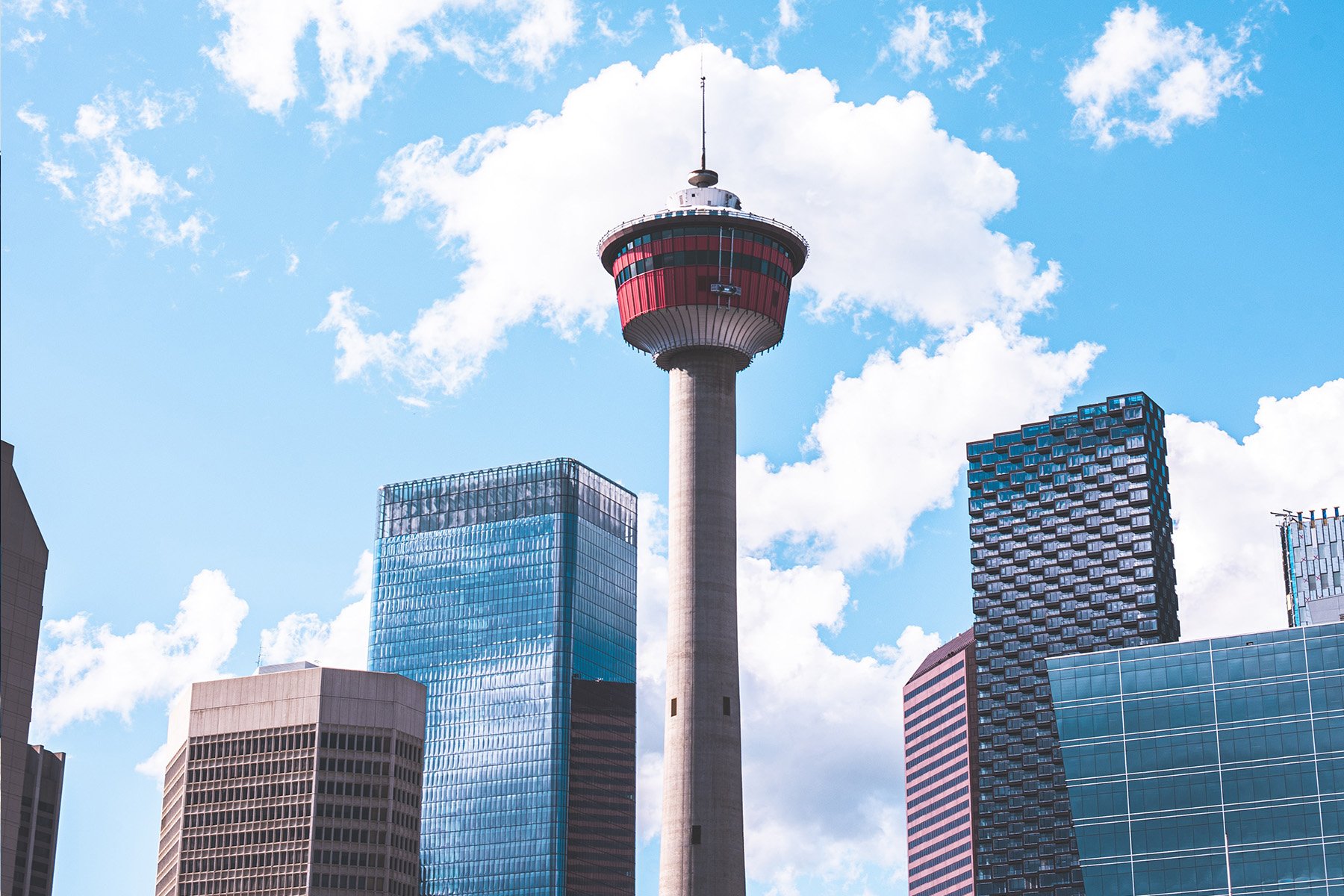 Calgary Landscape Maintenance