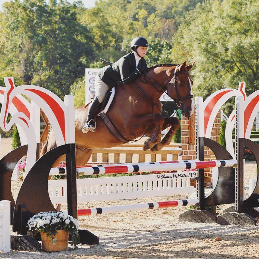 Riding Lessons Windfall Farm — windfallfarmhorseshows.com