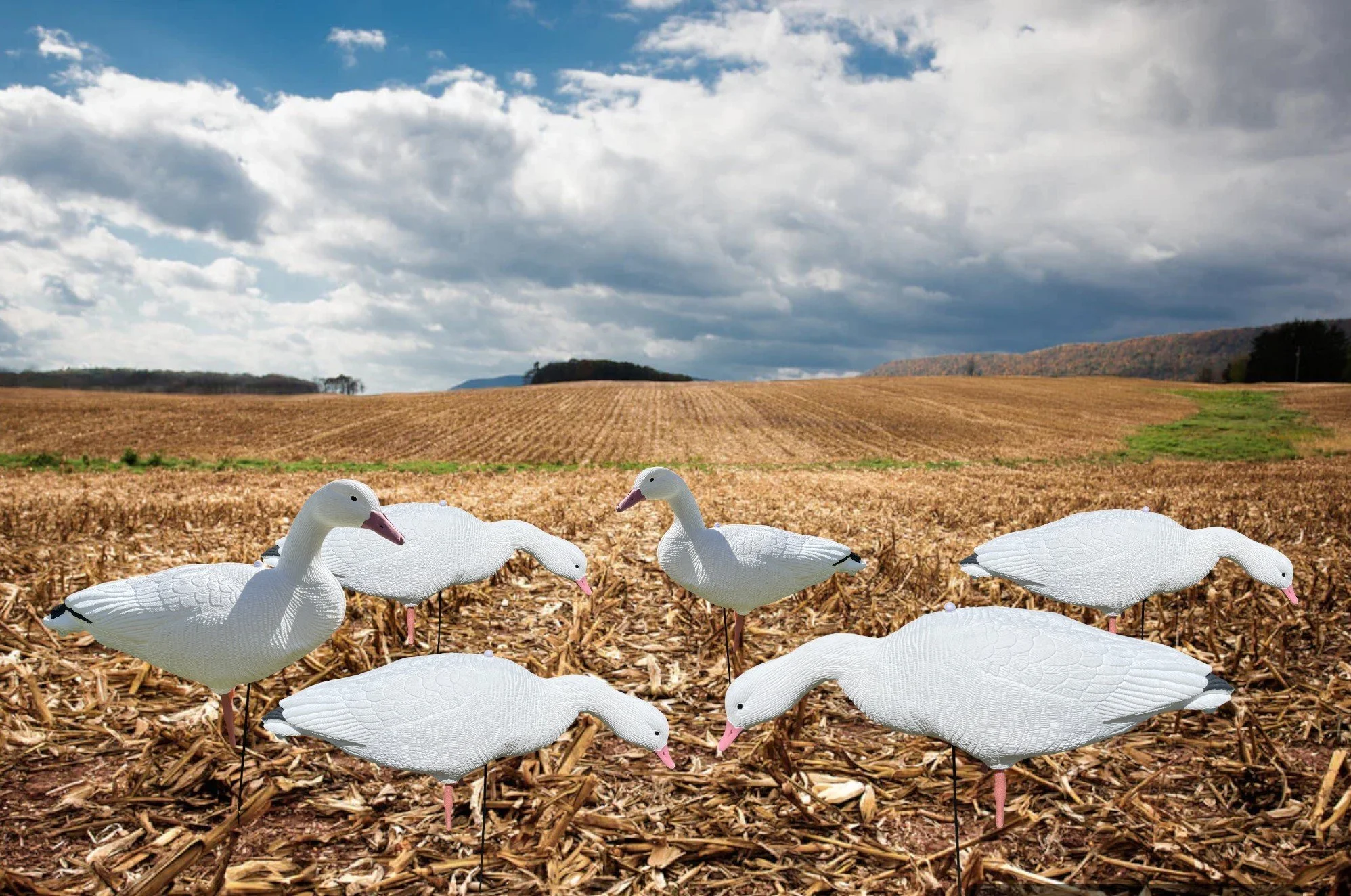 Store 1 — SNOWDOWN DECOYS
