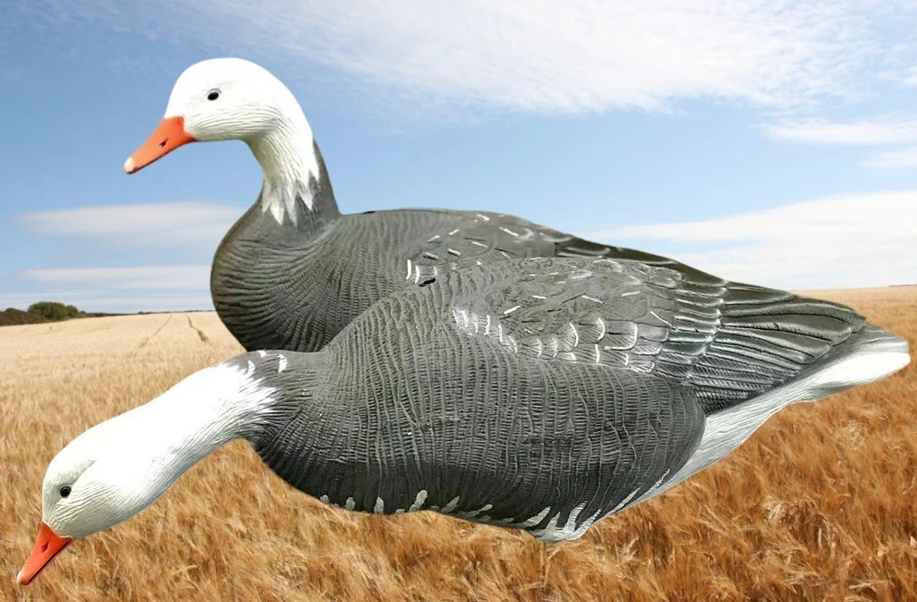 Store 1 — SNOWDOWN DECOYS