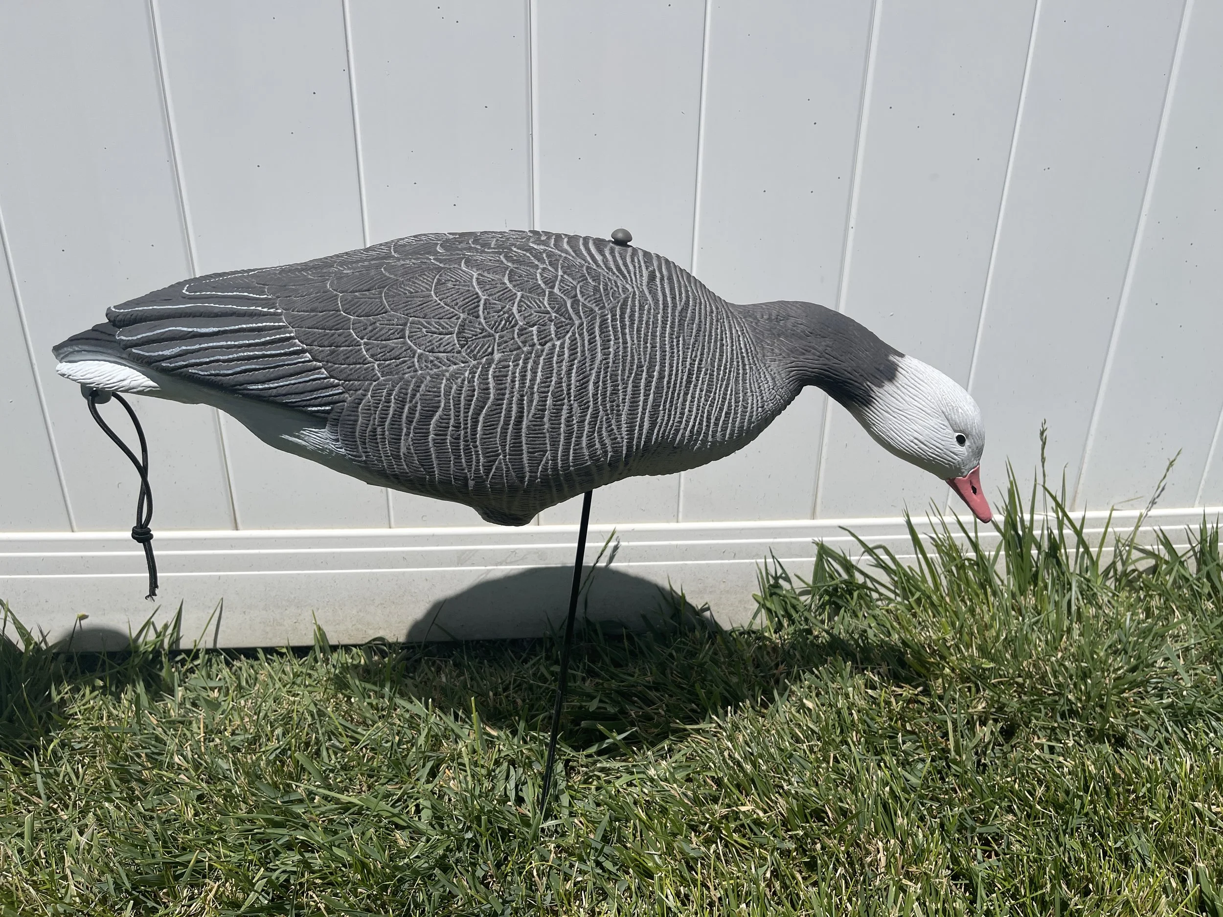 Blue Goose Full Body Decoys — SNOWDOWN DECOYS