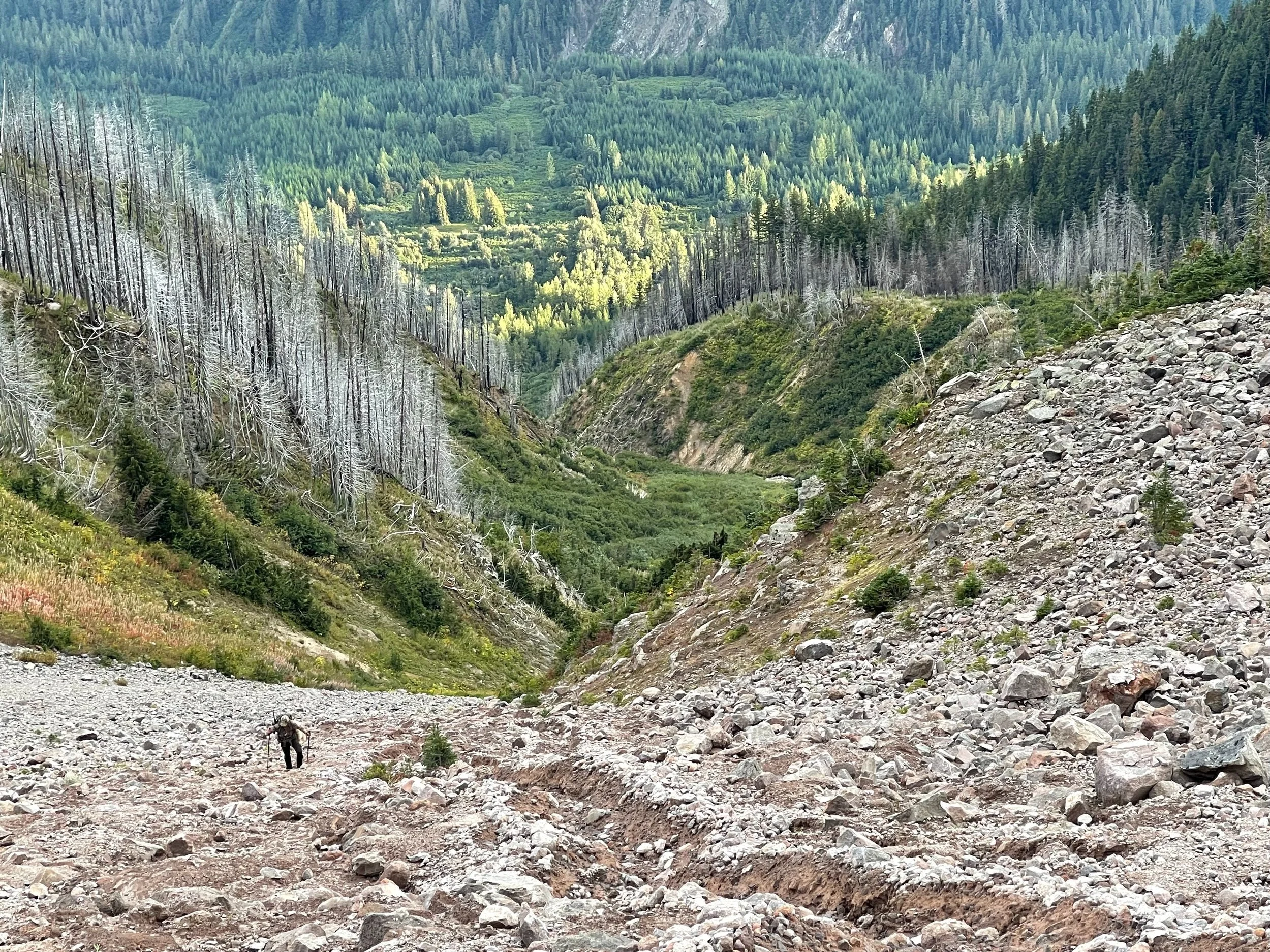 Dale & Company Quick Detach Rifle Sling