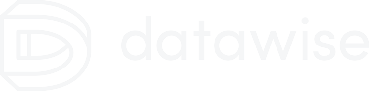 DataWise Consulting