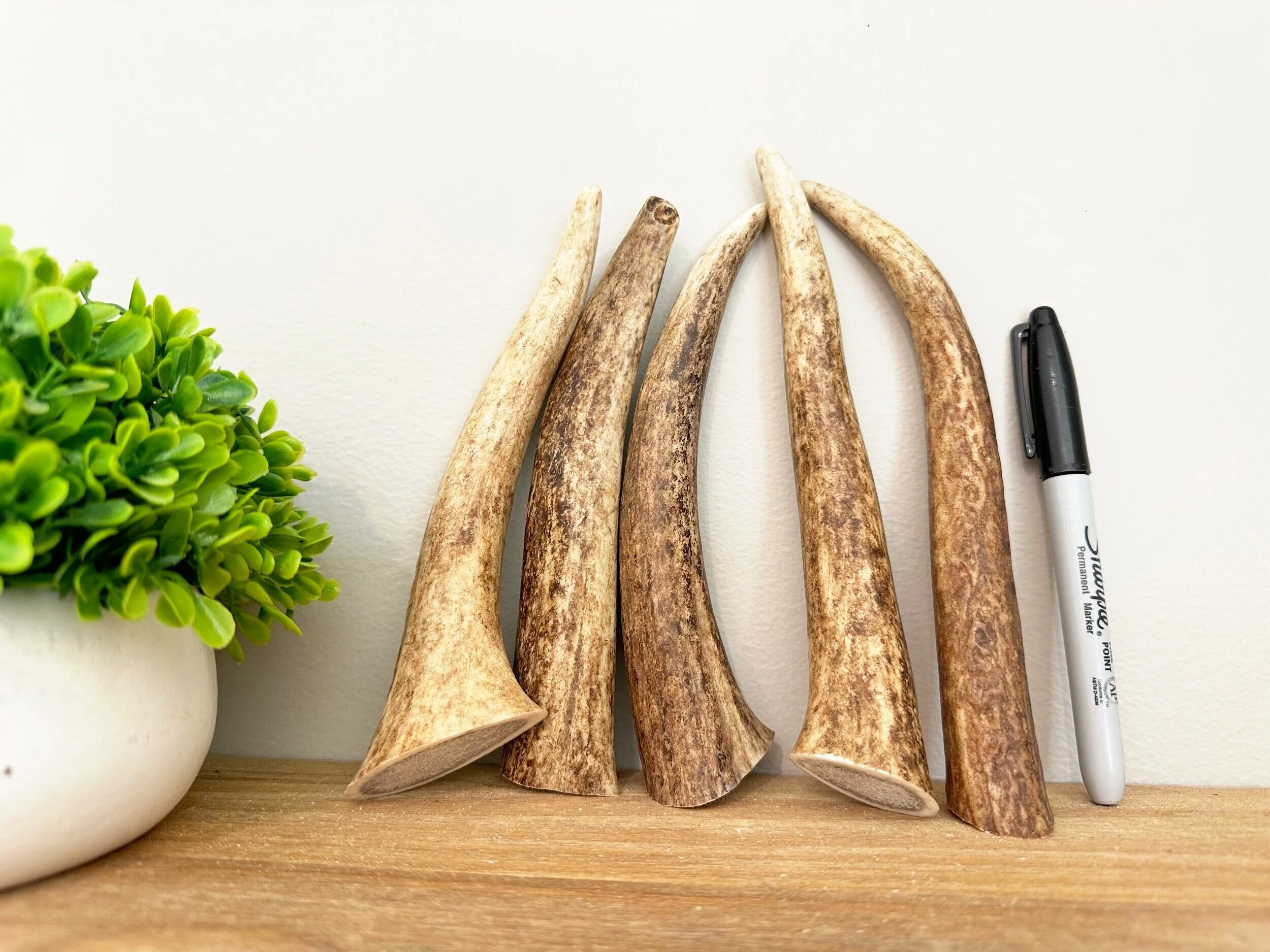 Elk Antler Dog Chews - All Natural [Premium Quality] [Real Naturally ...