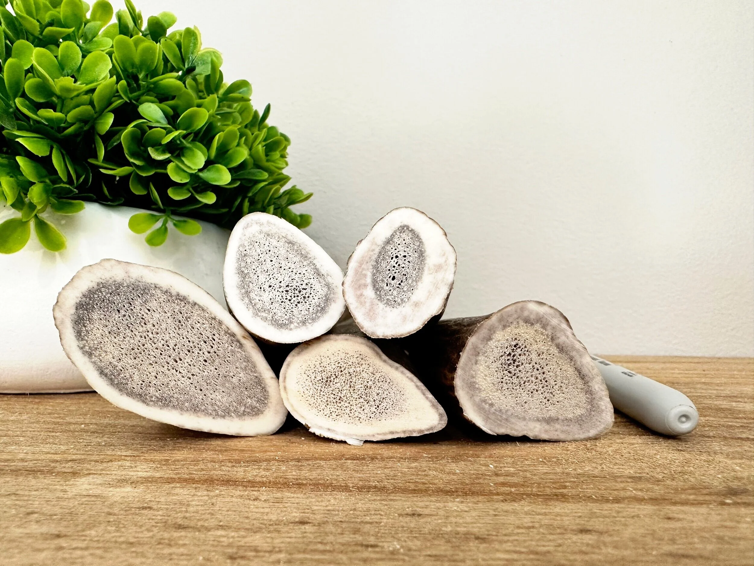 Elk Antler Dog Chews - All Natural [Premium Quality] [Real Naturally ...