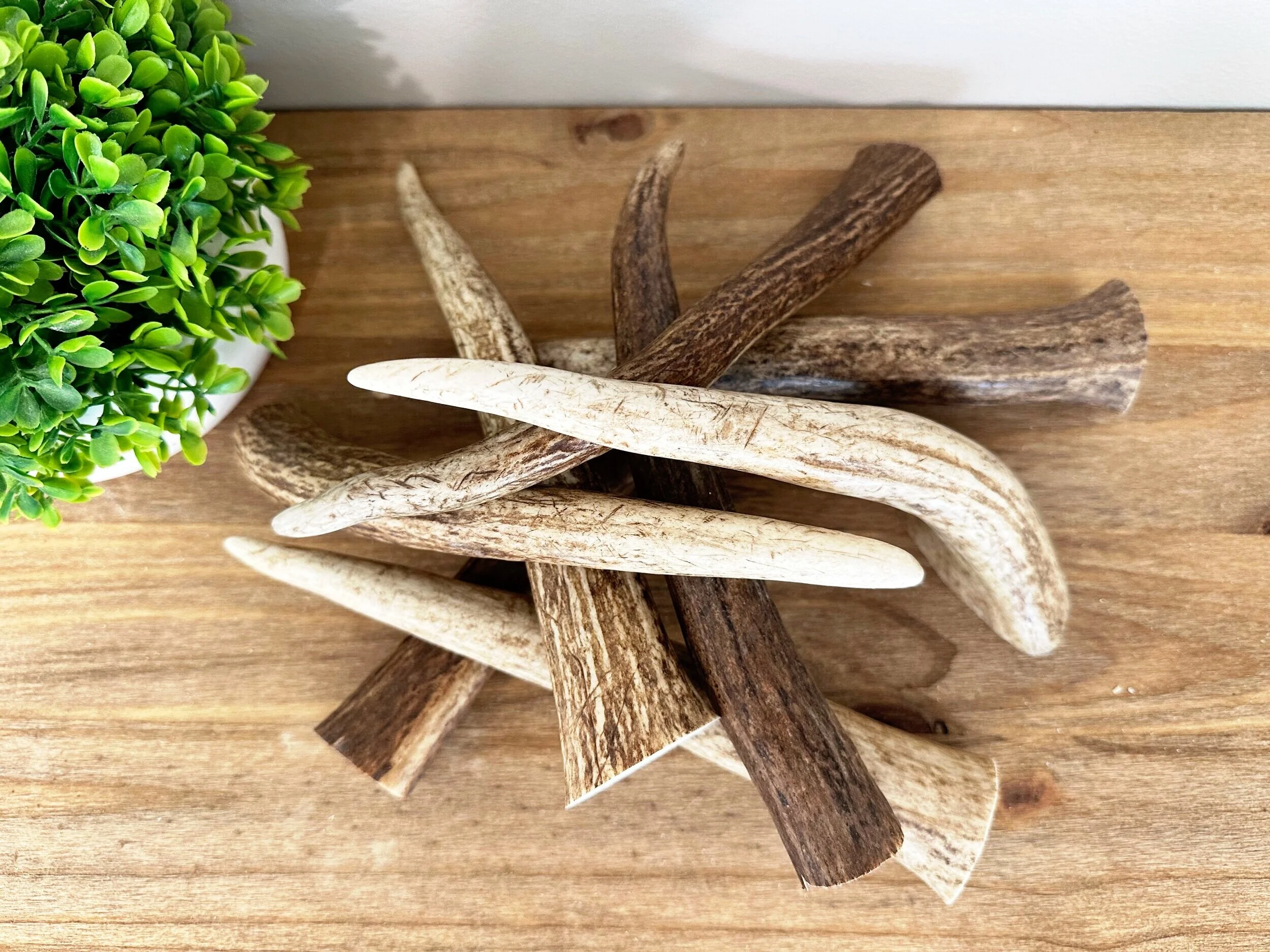 Elk Antler Dog Chews - All Natural [Premium Quality] [Real Naturally ...