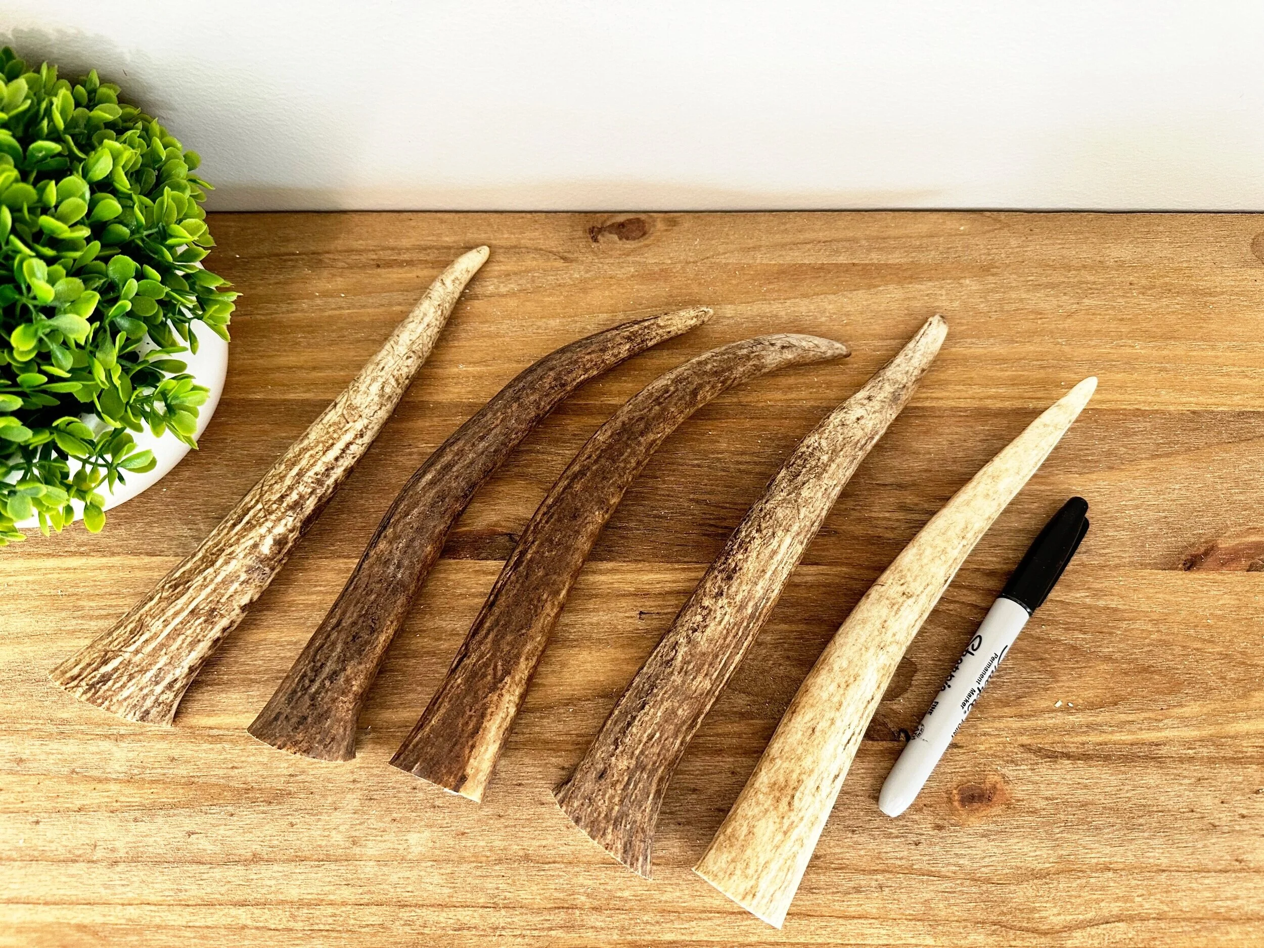 Elk Antler Dog Chews - All Natural [Premium Quality] [Real Naturally ...