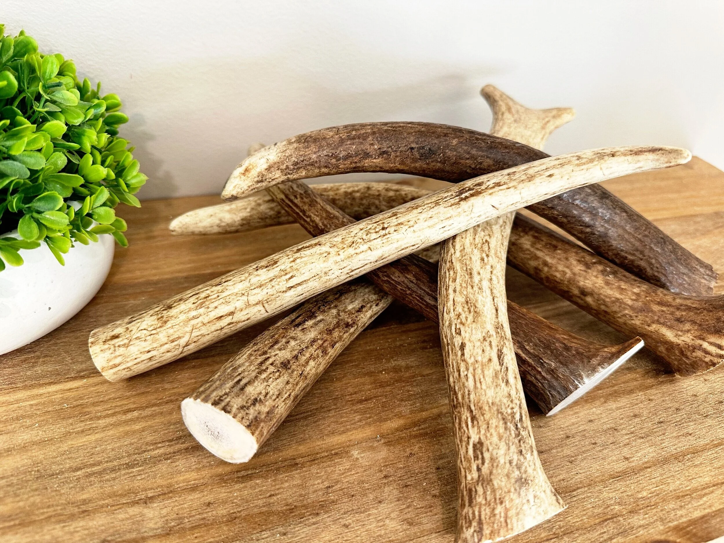 Elk Antler Dog Chews - All Natural [Premium Quality] [Real Naturally ...