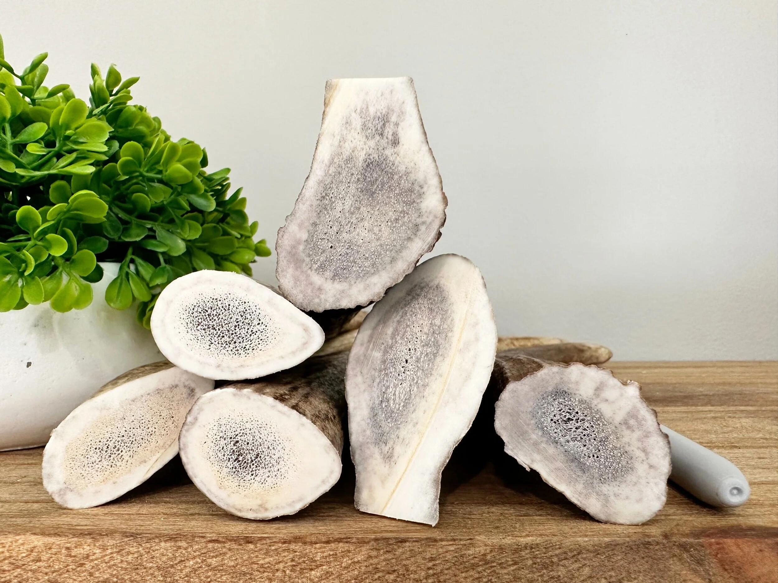 Elk Antler Dog Chews - All Natural [Premium Quality] [Real Naturally ...