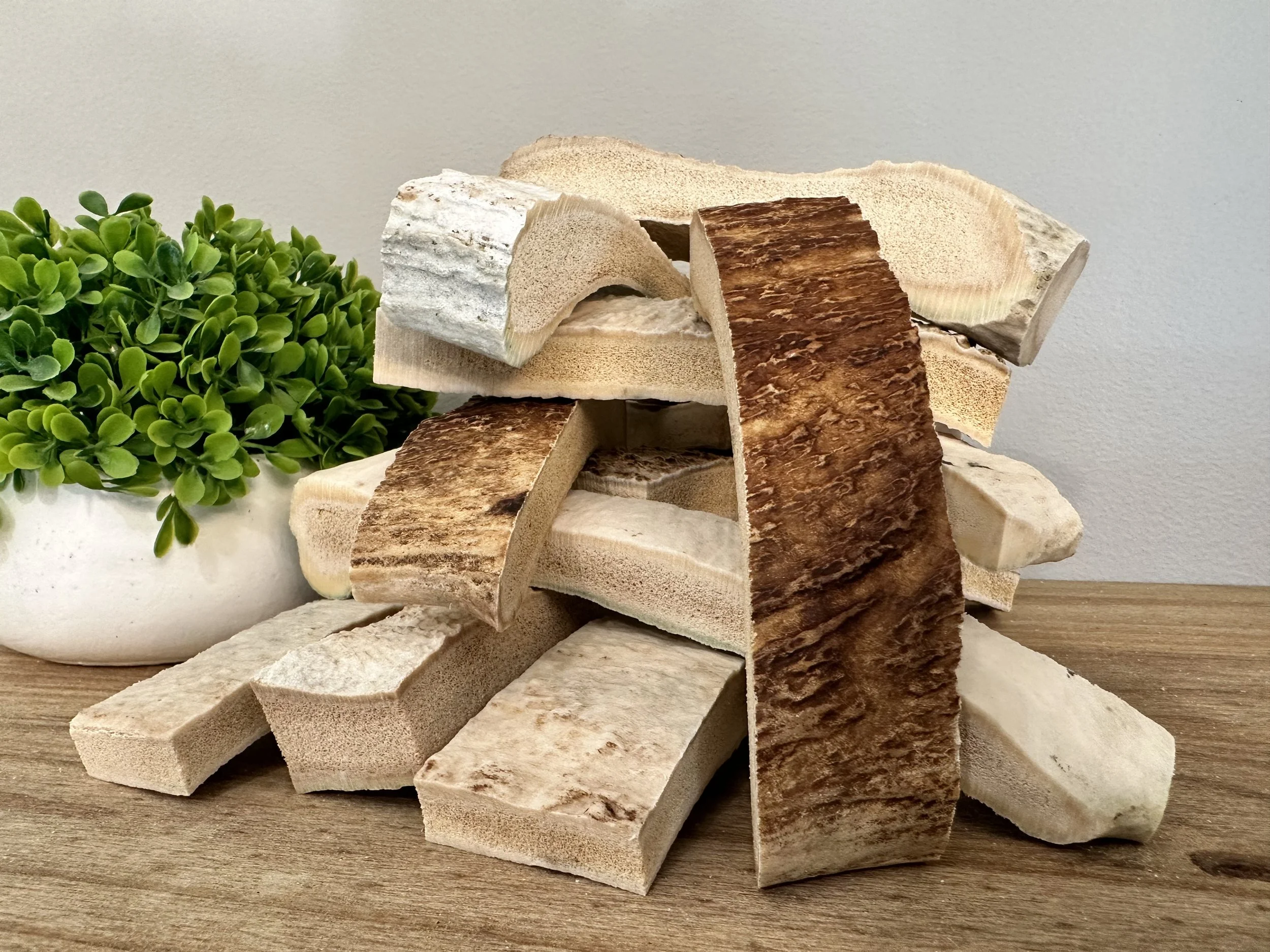 Moose Antler Dog Chews | All Natural | Premium Quality | Naturally Shed ...