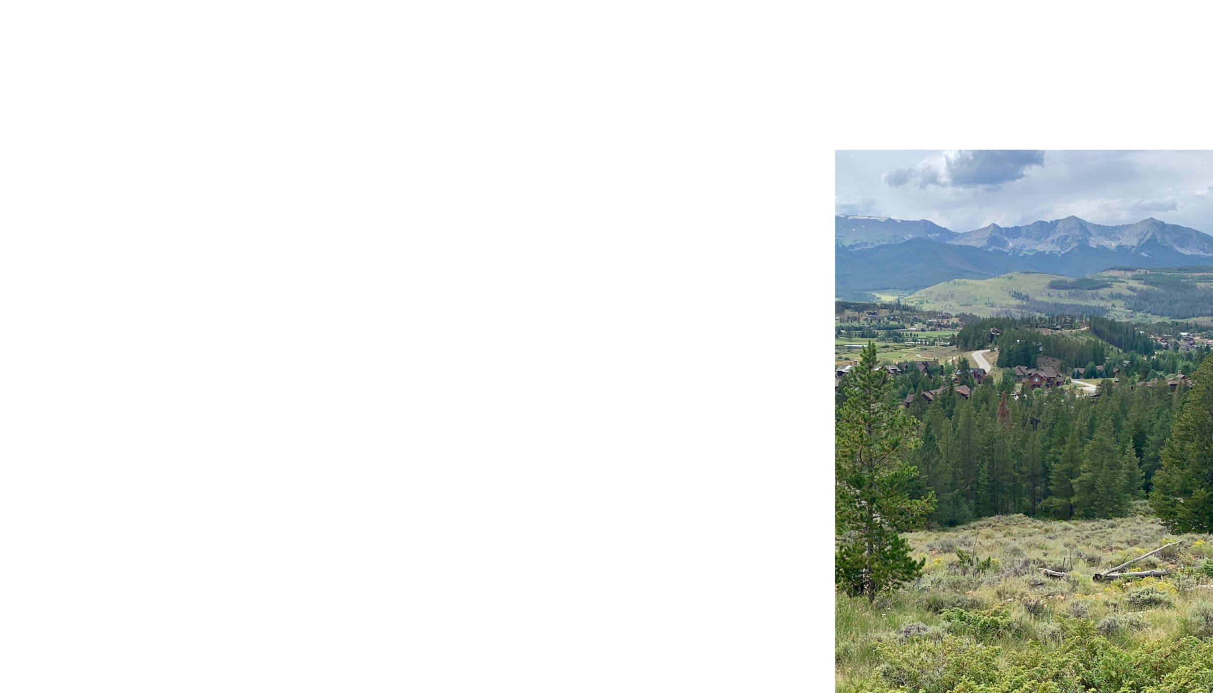 Fractional Home Fantasy — Dyan Rody