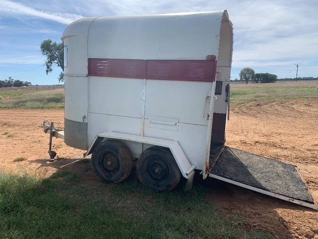 Andrew Wilson and Co