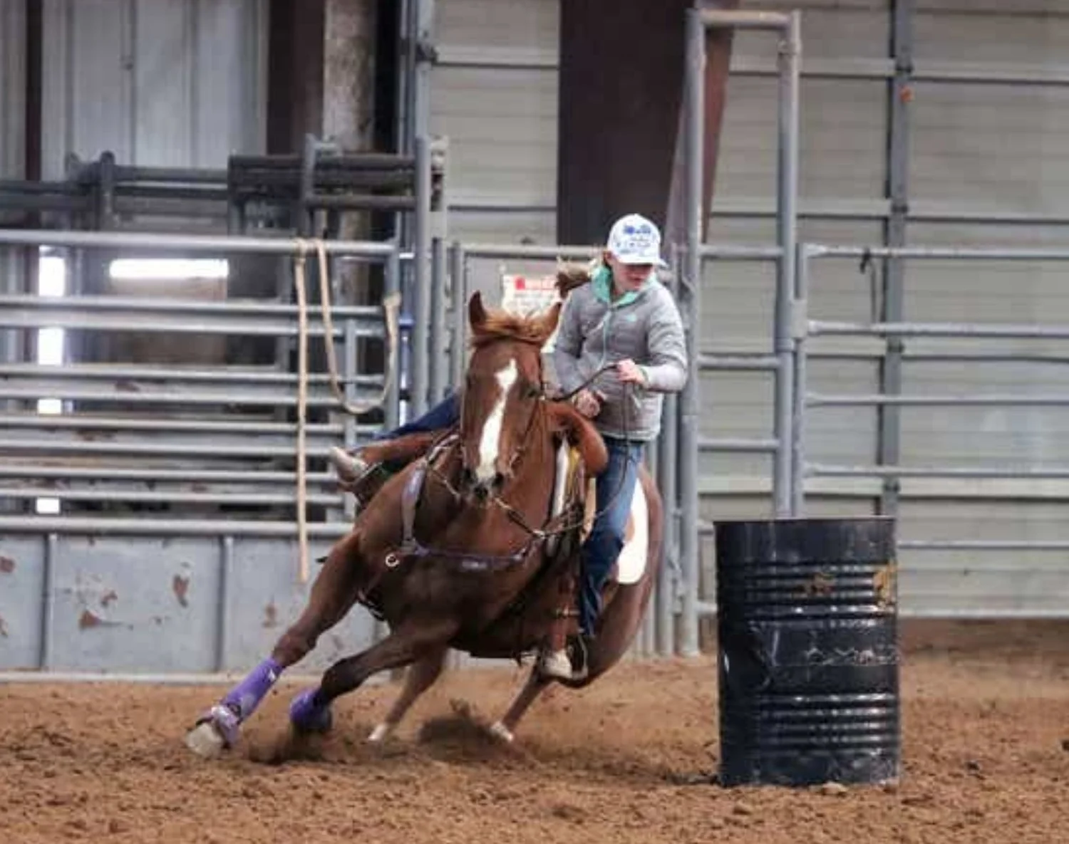 Andrew Wilson and Co