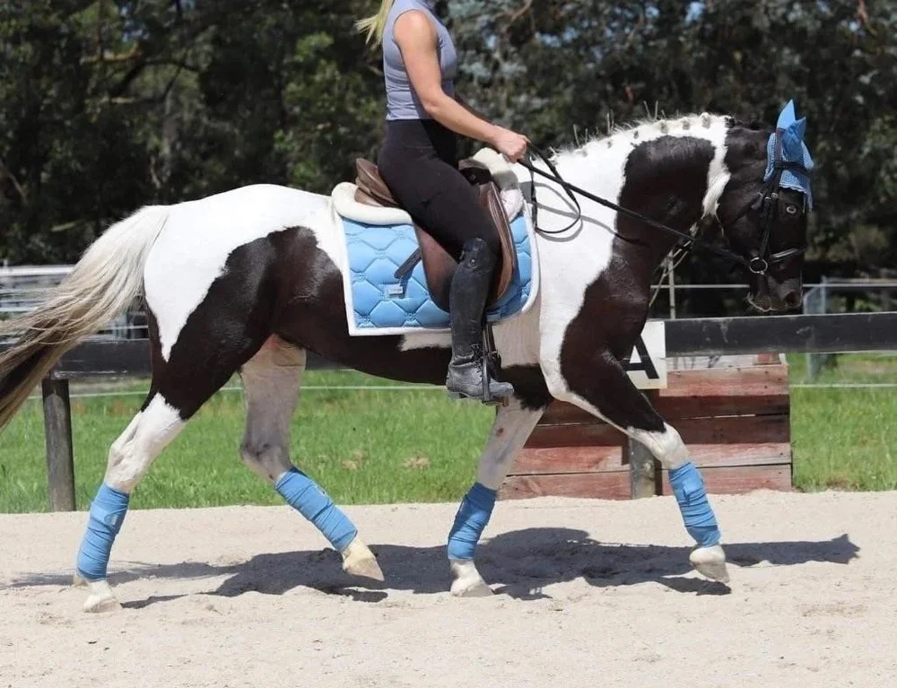 Auction Results — Andrew Wilson and Co