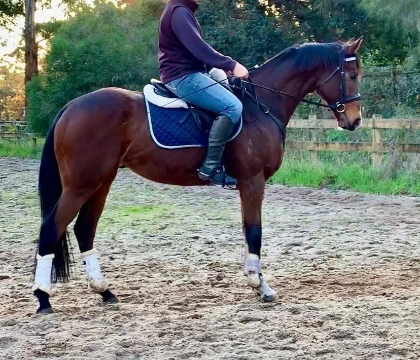 Auction Results — Andrew Wilson and Co