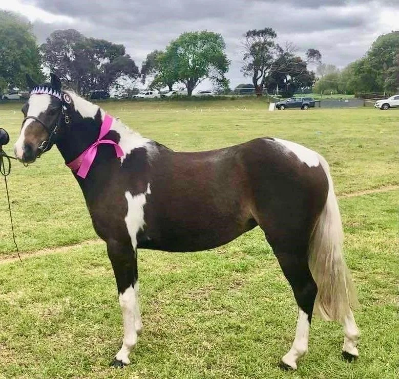 Auction Results — Andrew Wilson and Co