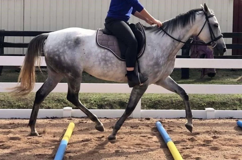 Andrew Wilson and Co