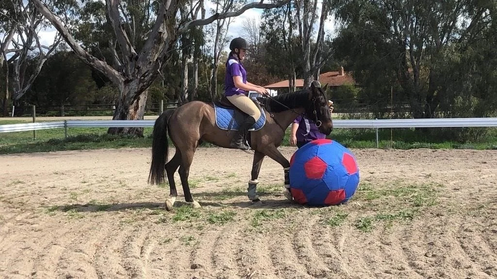 Andrew Wilson and Co