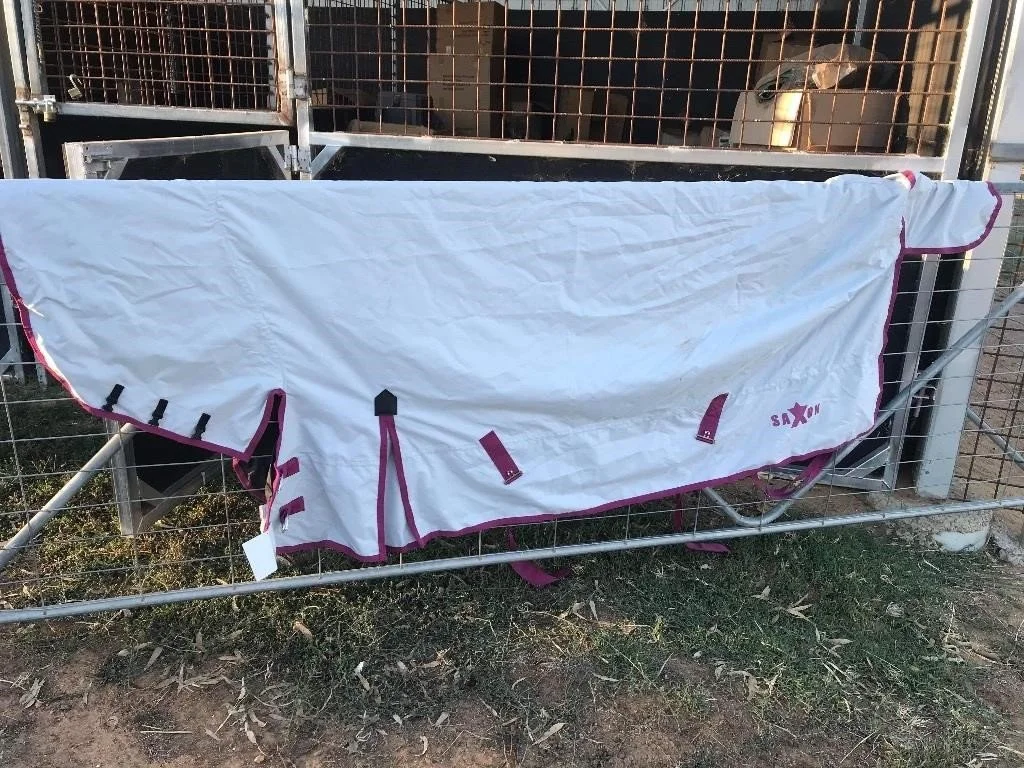 Andrew Wilson and Co