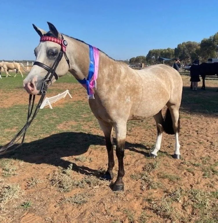 Andrew Wilson and Co