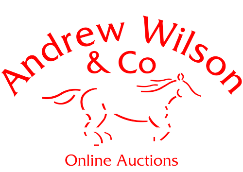 Equine Auctions | How it works | FAQs — Andrew Wilson and Co
