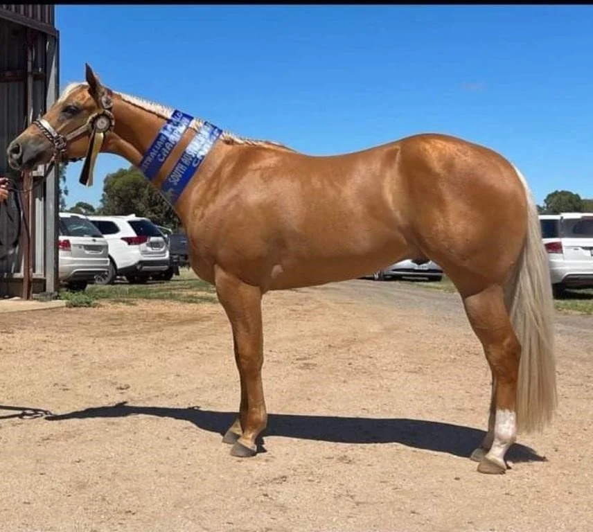 Andrew Wilson and Co