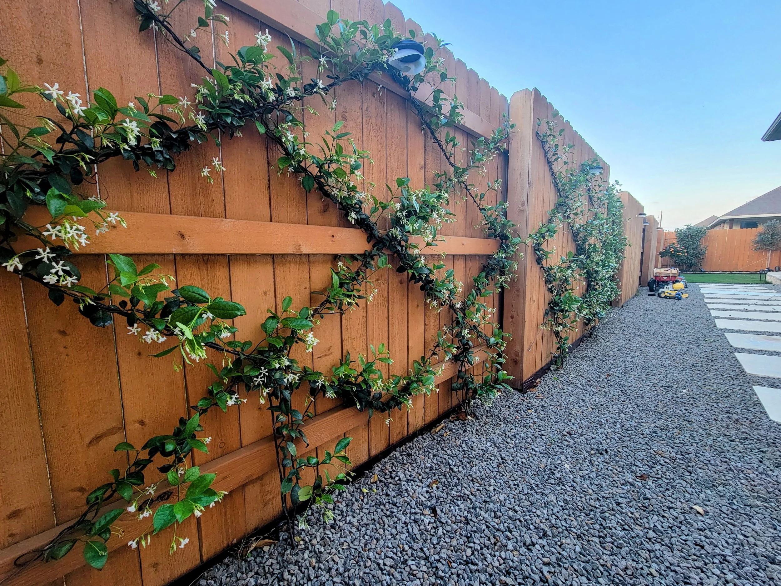 Diamond Fence Trellis — Emma G.'s inspiring space