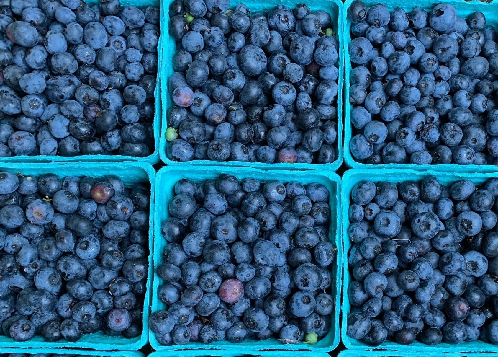 Rogers Local Food Market