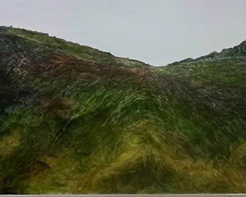 Nancy Siebert Murphy — Jackson Art Center