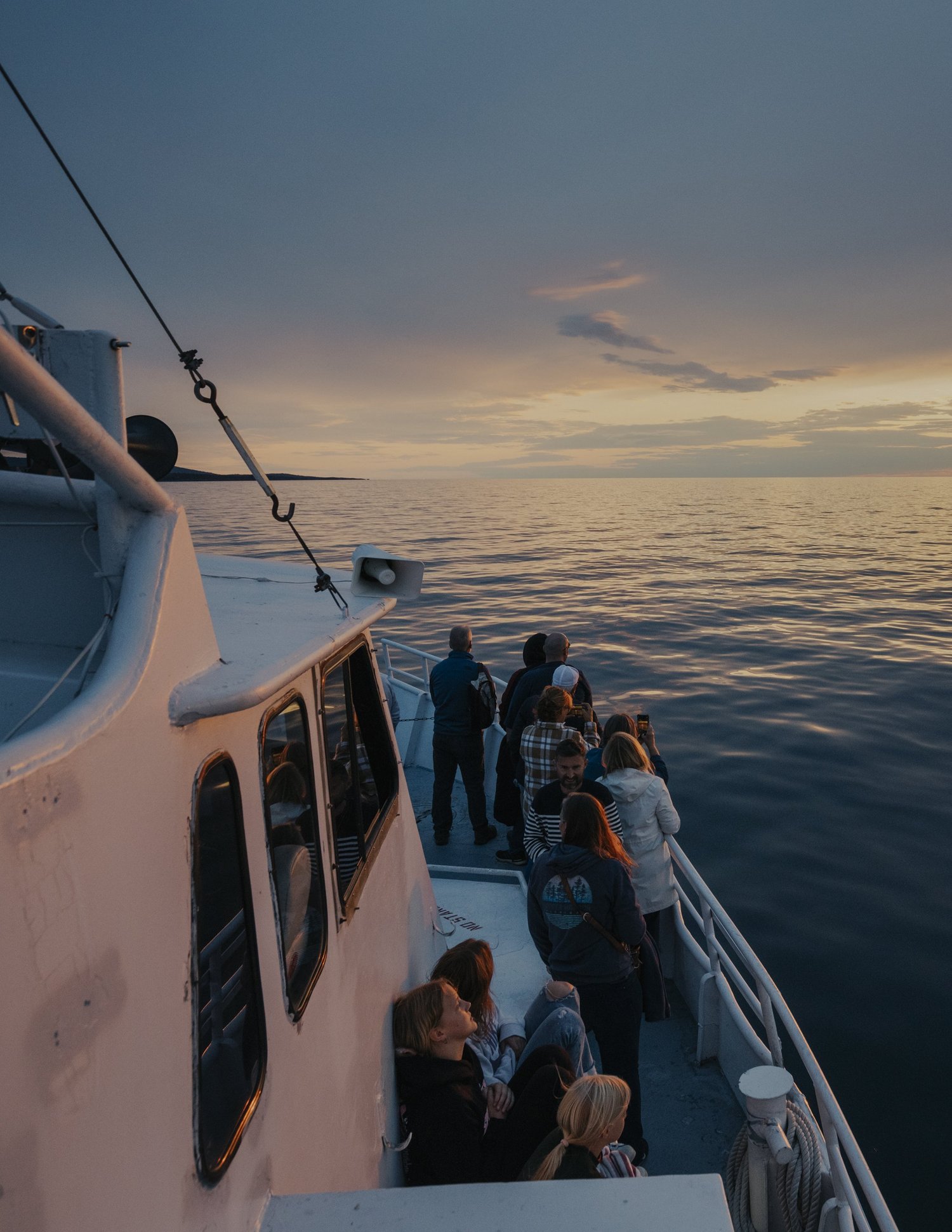 if flowers can grow -- wright photography