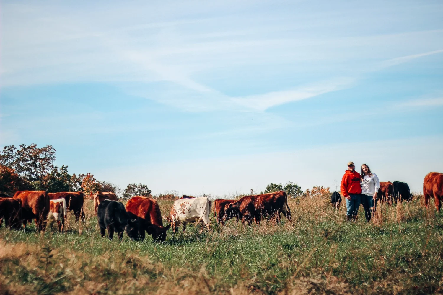 Bentley Farms | Naturally Raised Beef, Pork & Poultry | No Added ...