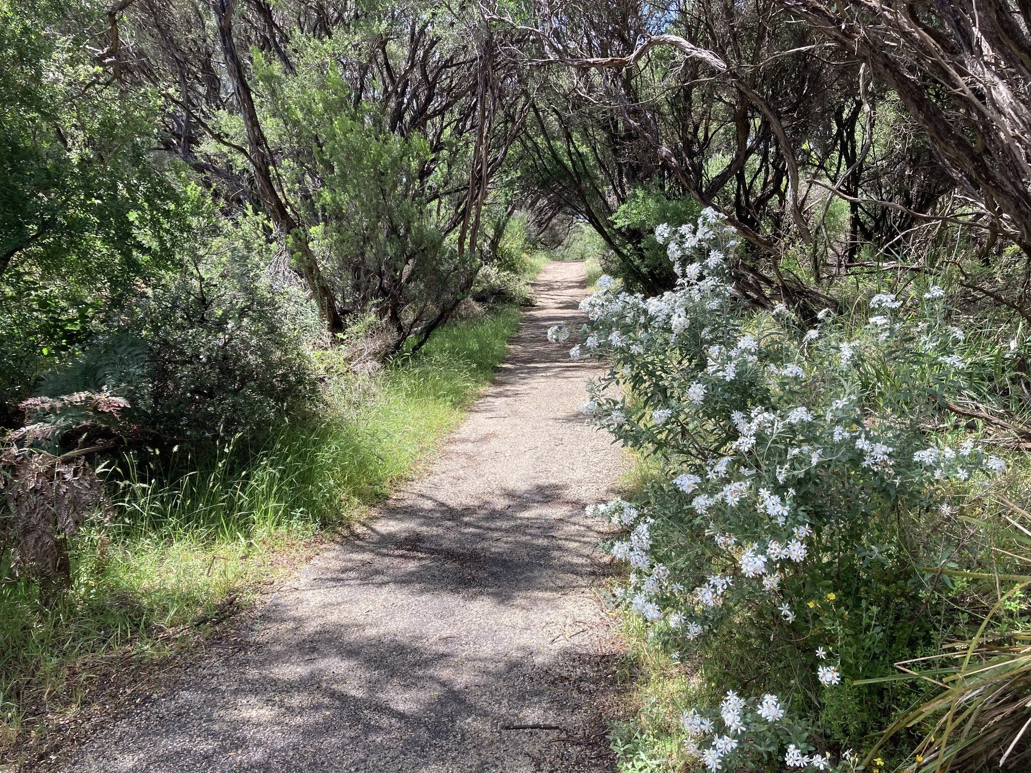 Sandy Point History — Sandy Point, Victoria