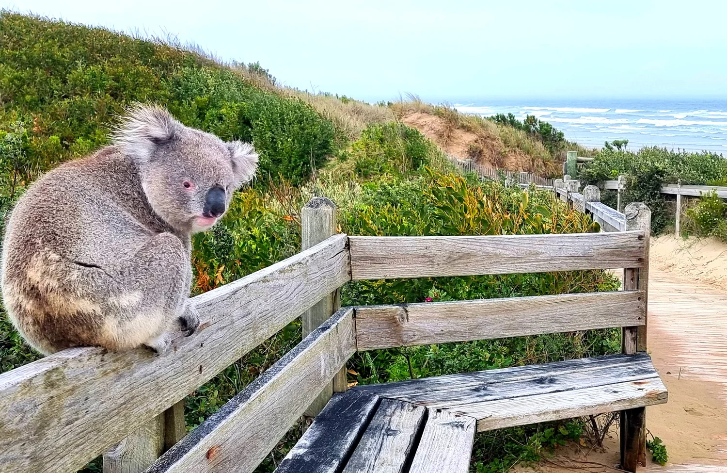 Sandy Point, Victoria