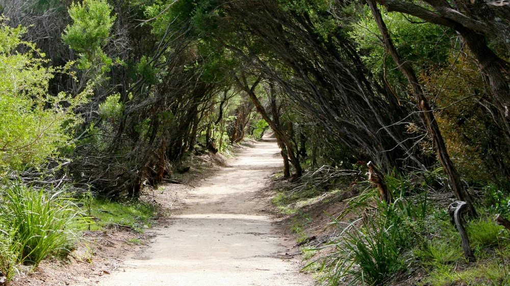 Sandy Point, Victoria
