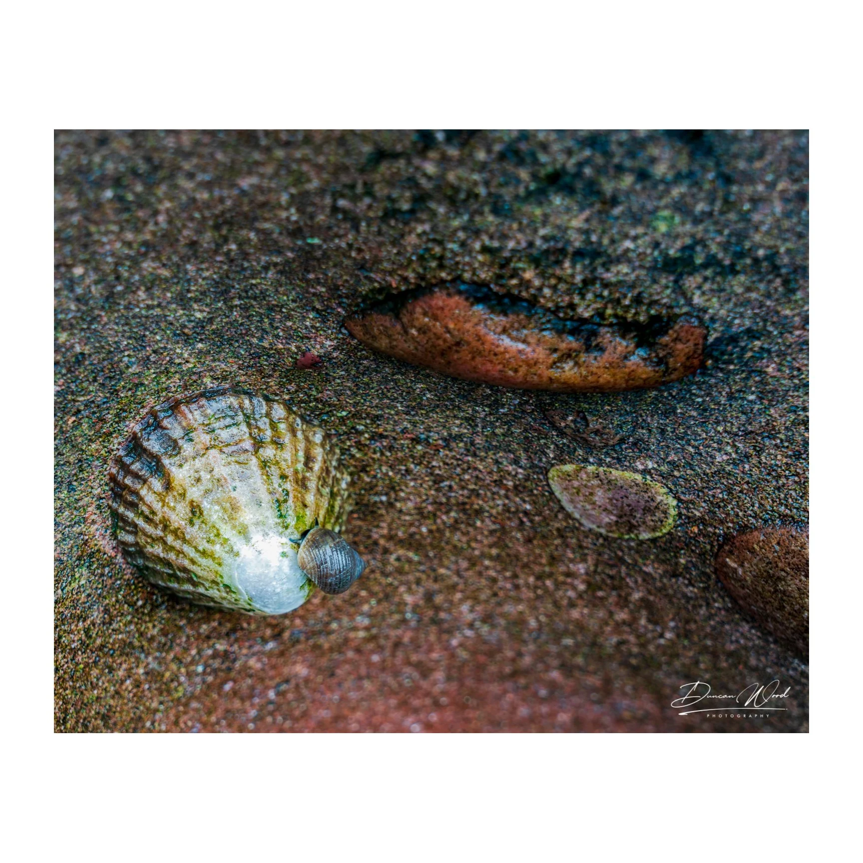 "Revisiting Auchmithie Bay: Capturing the Changing Seasons and Unique ...