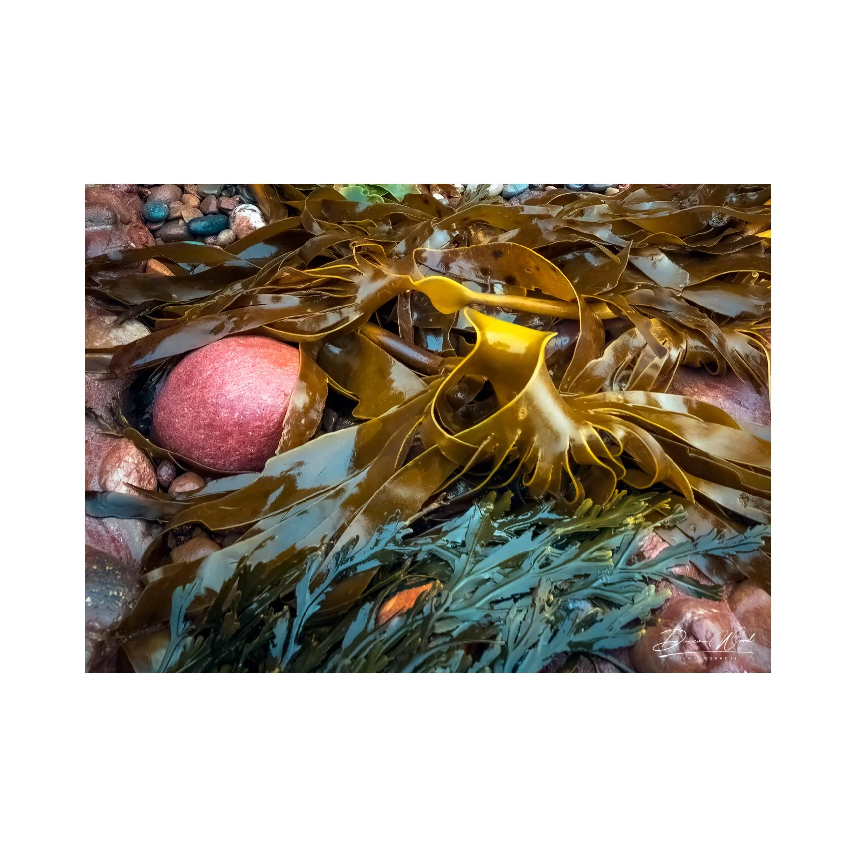 "Revisiting Auchmithie Bay: Capturing the Changing Seasons and Unique ...