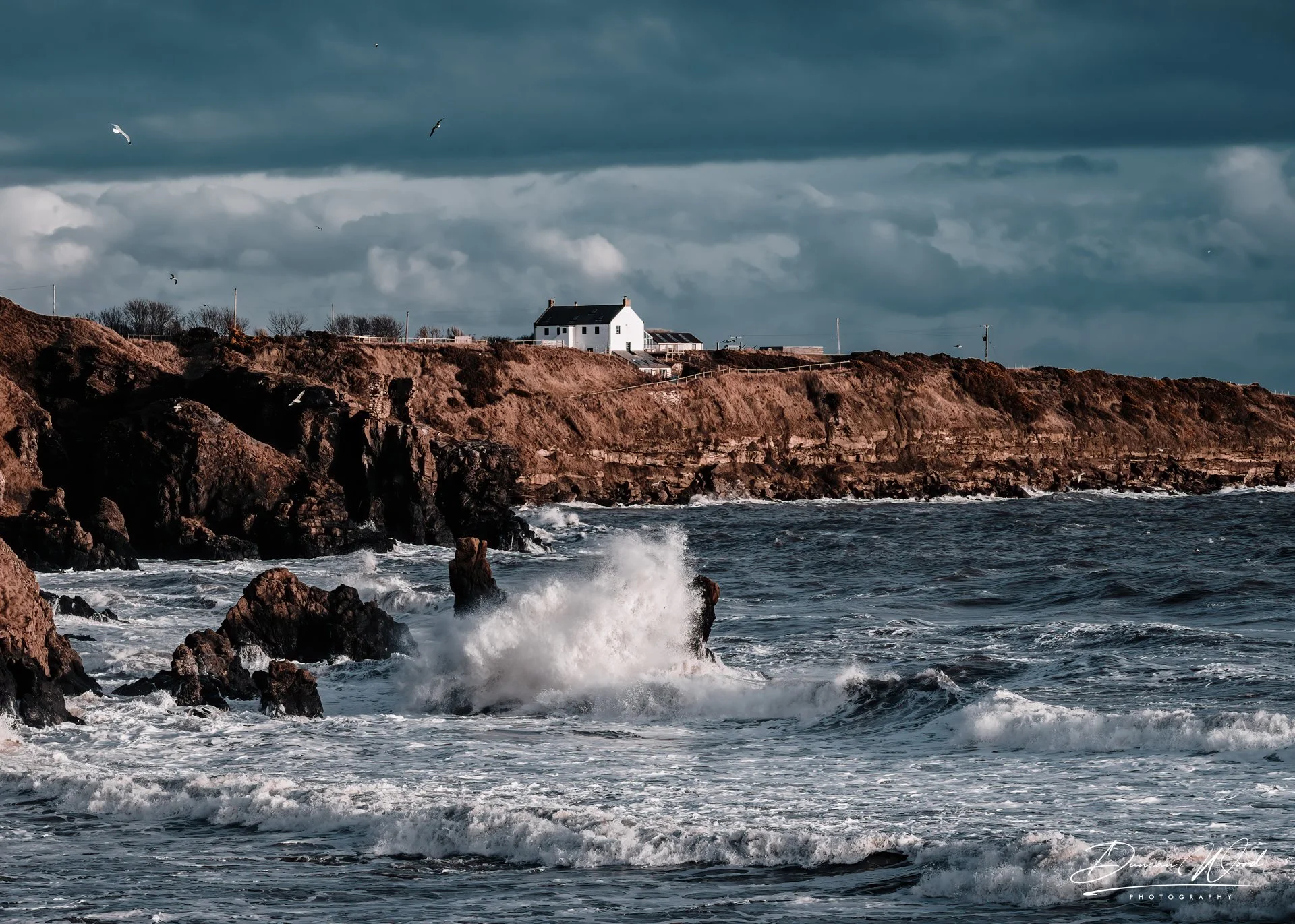 Duncan Wood Photography