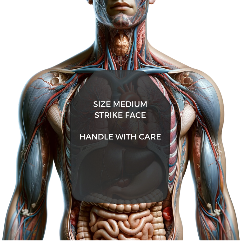 A Comprehensive Guide to NIJ Standard 0101.07 and NIJ Standard 0123.00 ...