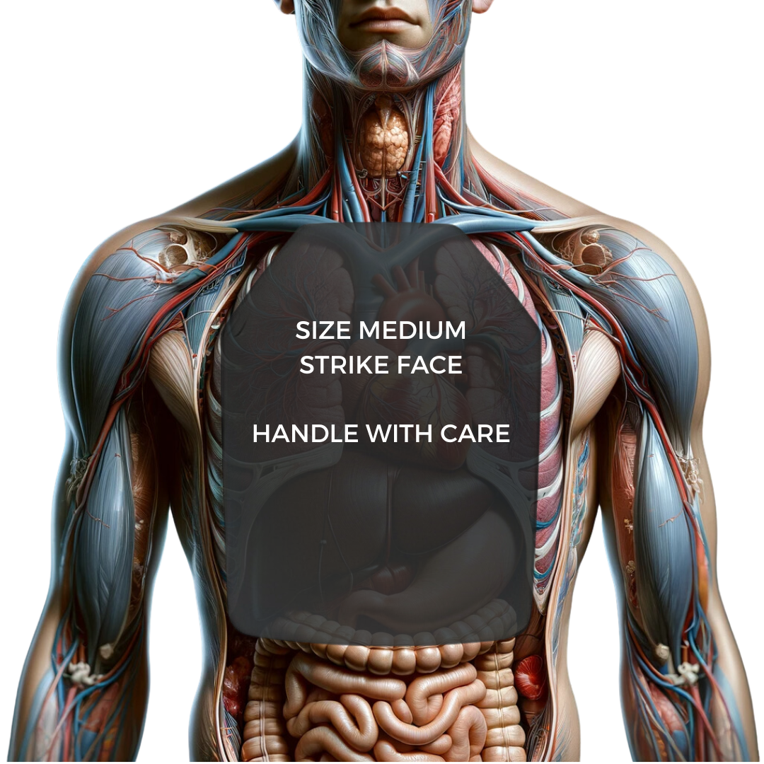A Comprehensive Guide to NIJ Standard 0101.07 and NIJ Standard 0123.00 ...