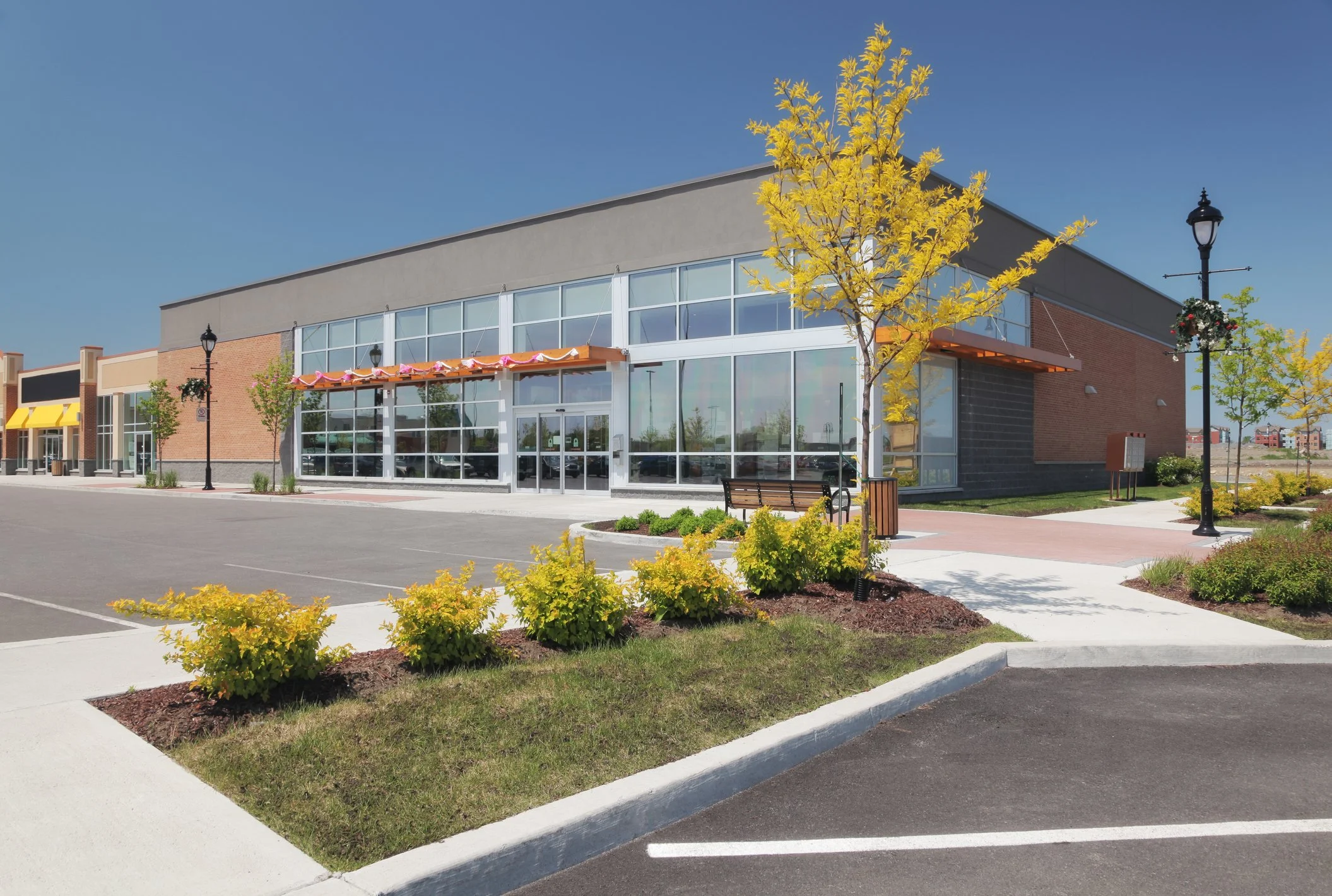 Asphalt Repair and Snow Removal Services in the GTA — GreyWolf Outdoor