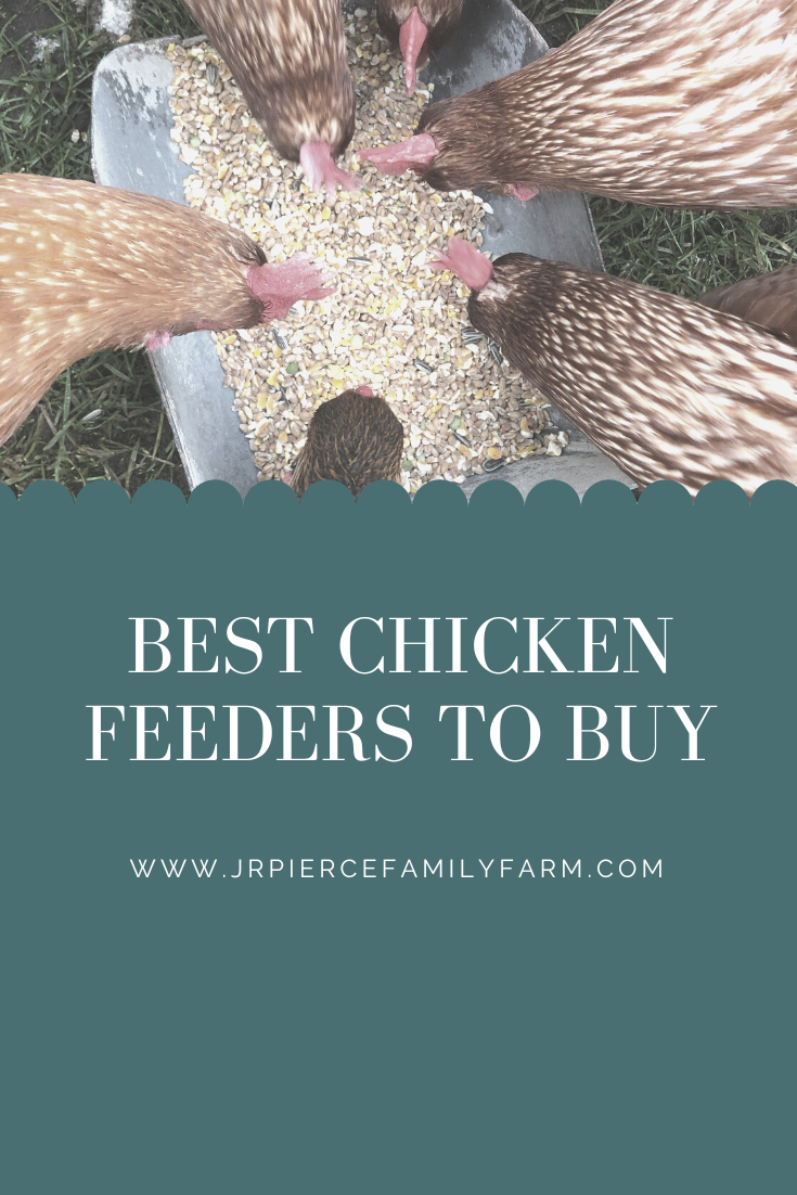 The Top 10 Chicken Feeders For You to Consider — J&R Pierce Family Farm ...