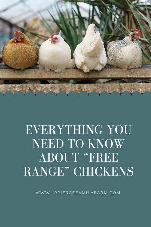 Behind the Food Label: What Does "Free Range" Mean? — J&R Pierce Family ...