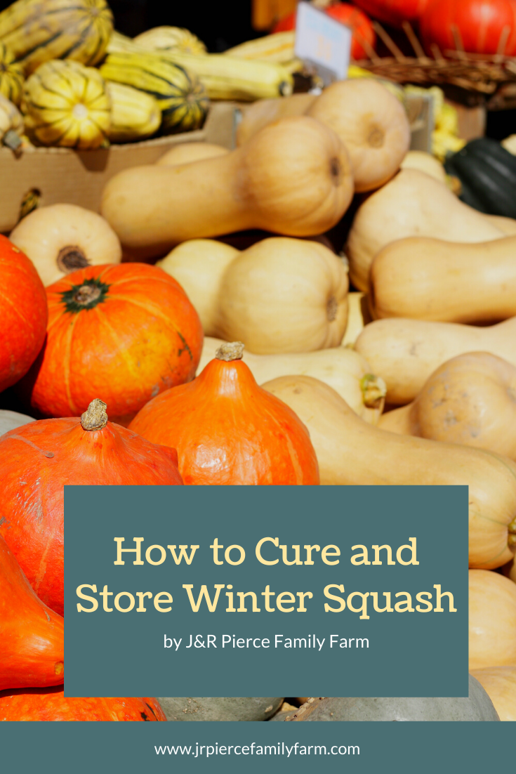 How to Cure and Store Winter Squash — J&R Pierce Family Farm