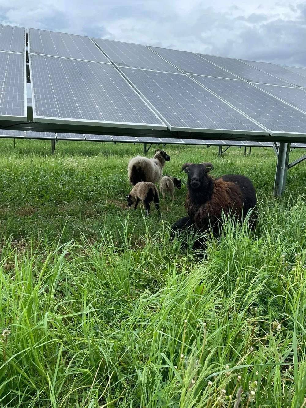 J&R Pierce Family Farm